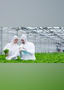 Britannica Q&A: What is a Genetically Modified Organism?