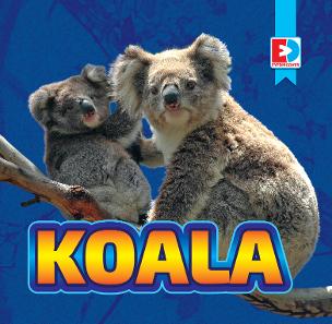 Koala